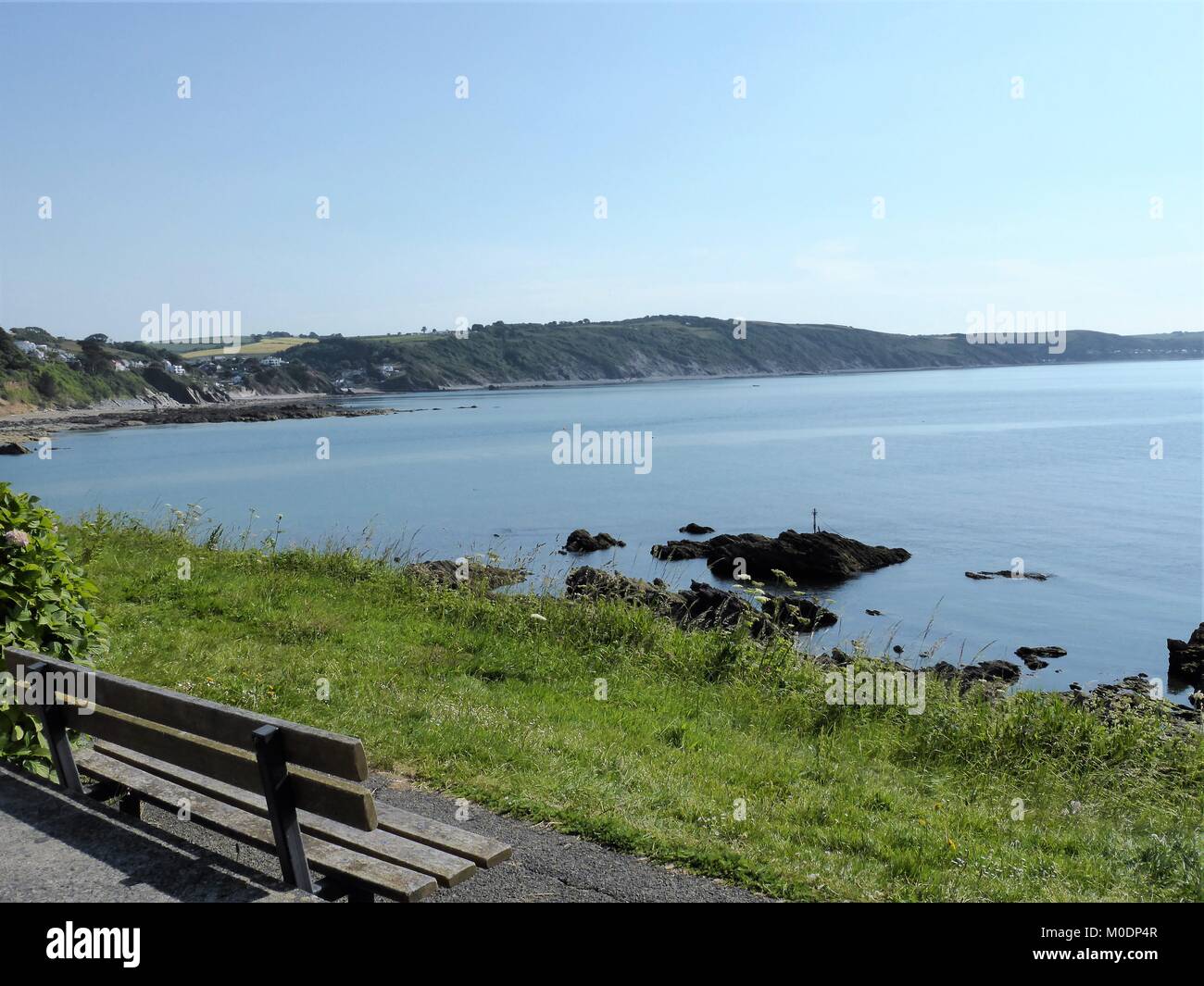 Looe cornwall trees hi-res stock photography and images - Alamy