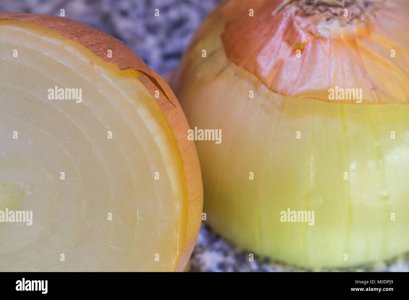 vegetables onion close-up two onions close-up photo Stock Photo - Alamy
