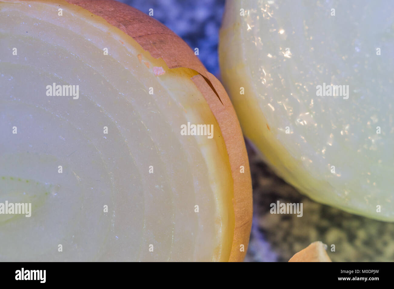 vegetables onion close-up two onions close-up photo Stock Photo - Alamy