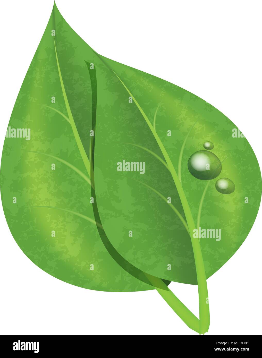 Summer background dew drops Stock Vector Images - Alamy
