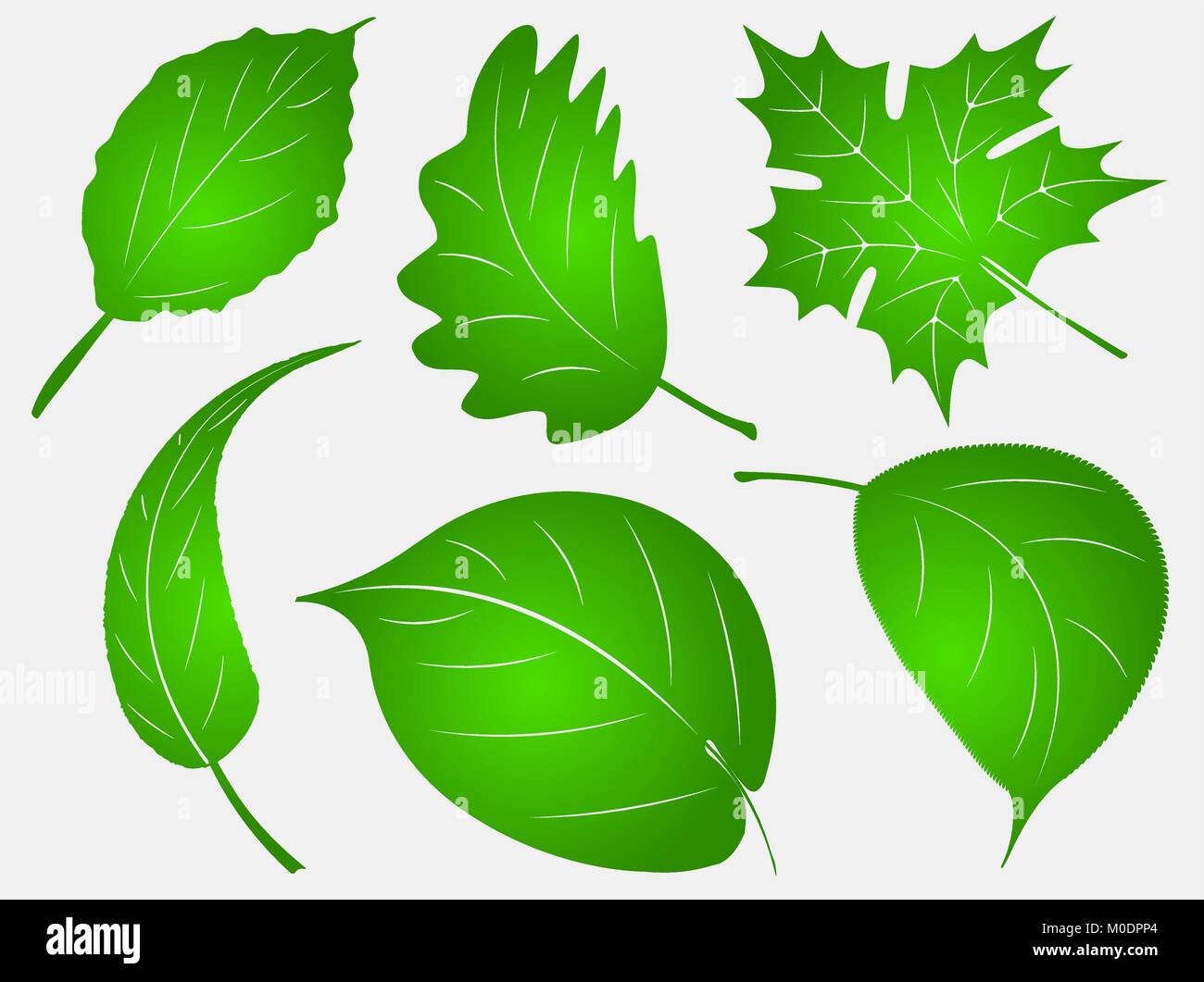 Six leaf clover hi-res stock photography and images - Alamy