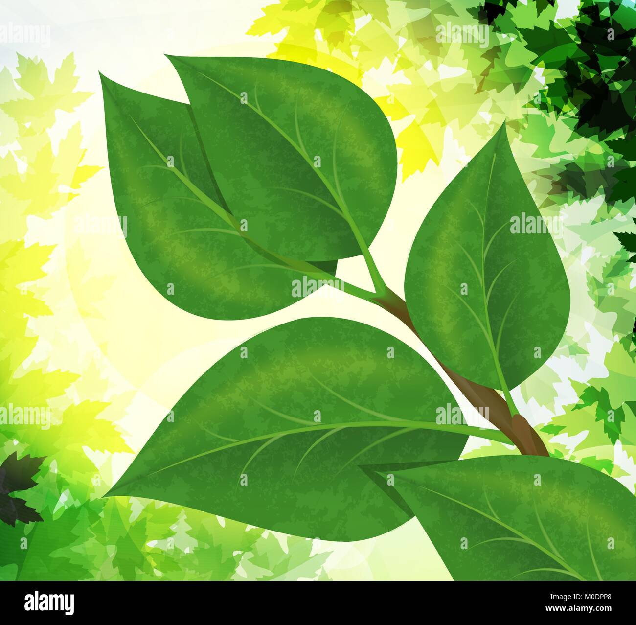 Spring branch. Vector illustration Stock Vector Image & Art - Alamy
