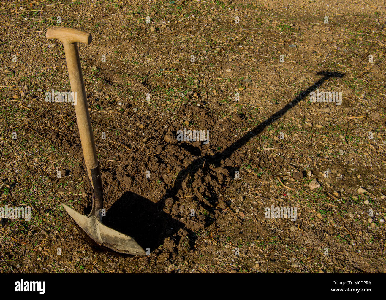 Shovel In Ground