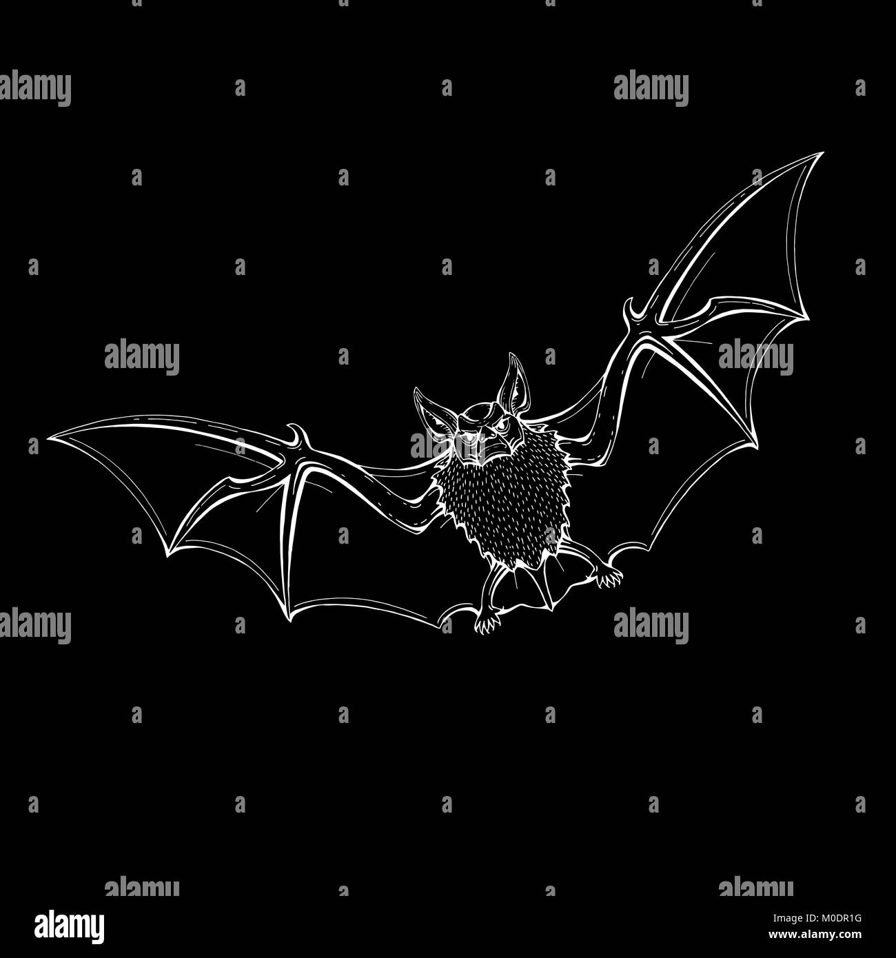 bat angry vector illustration line drawing hand Stock Vector Image ...
