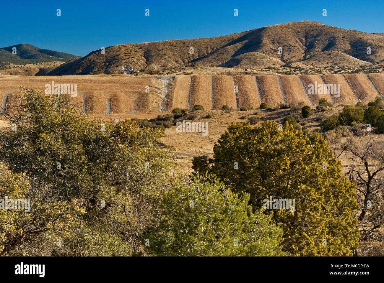 Mine reclaimed by nature hi-res stock photography and images - Alamy