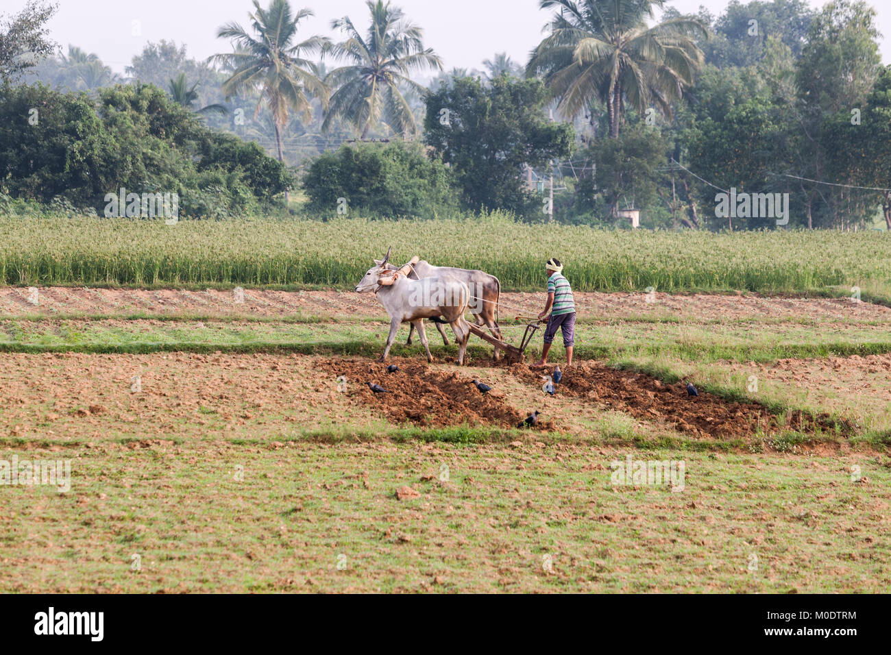 Historic Farm Plow Agriculture High Resolution Stock Photography and ...