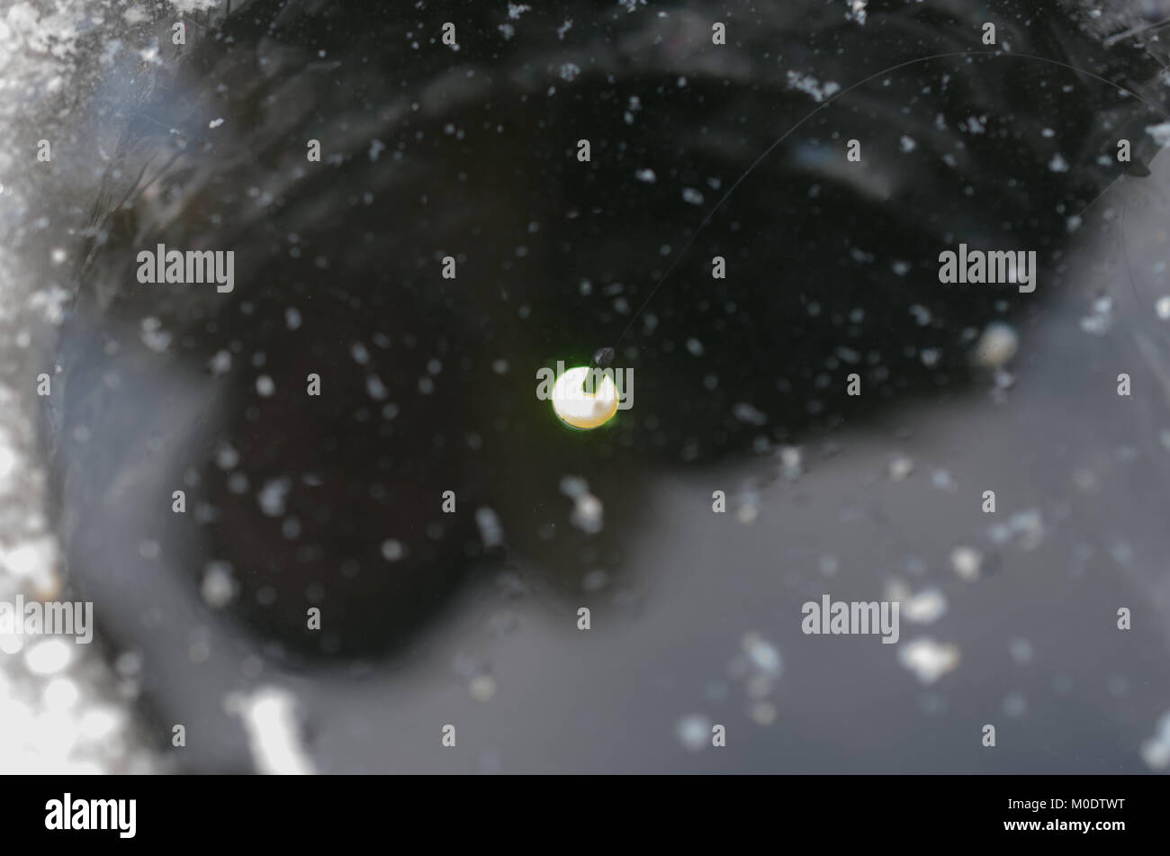 Round ice in the ice with a float on the line Stock Photo - Alamy