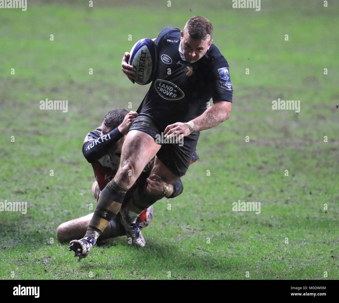 Wasps tom cruse hi-res stock photography and images - Alamy