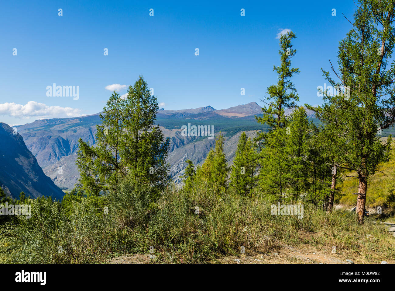 Views of Mountainous Altai, Russia Stock Photo - Alamy