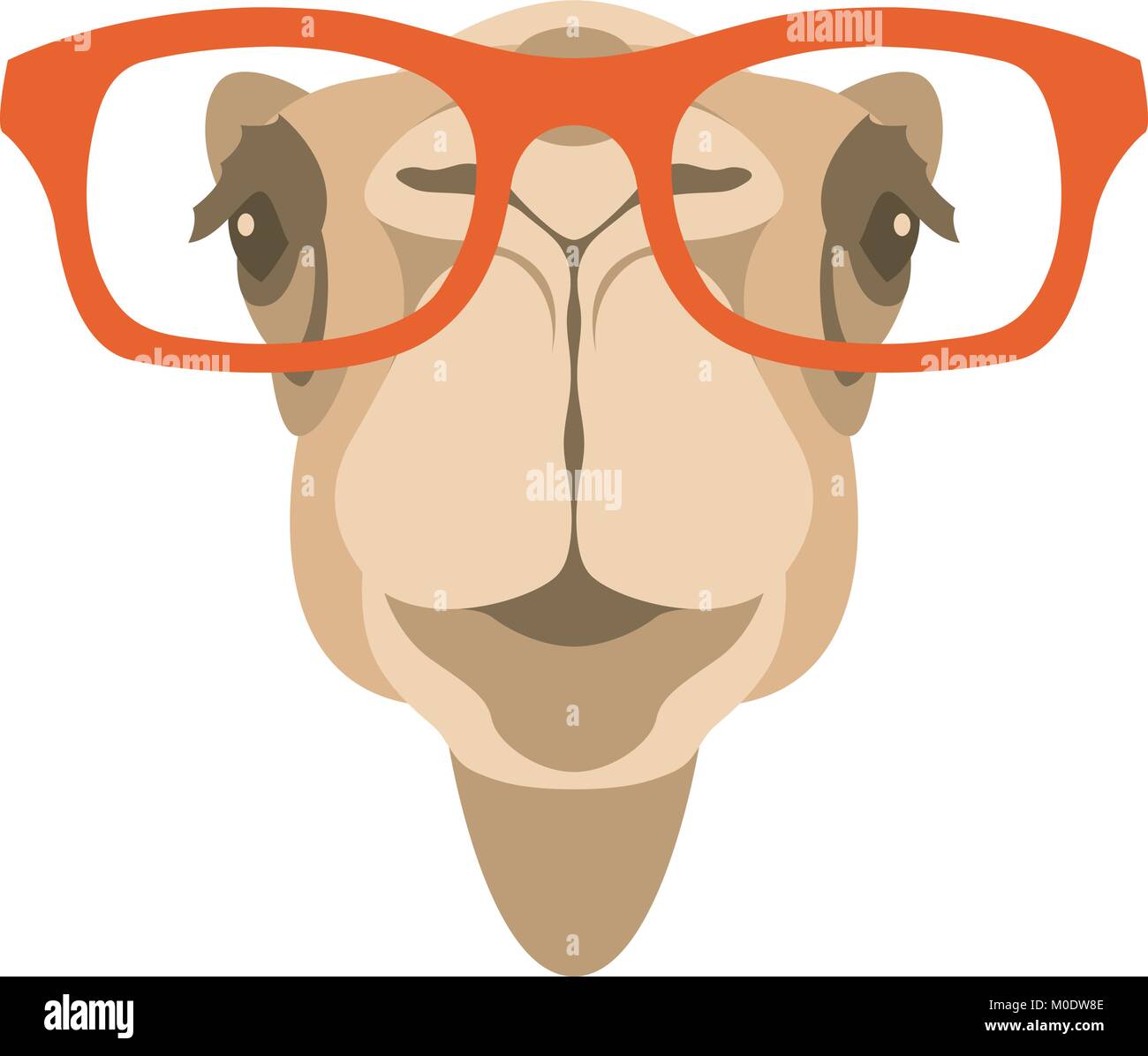 Camel face front Stock Vector Images - Alamy