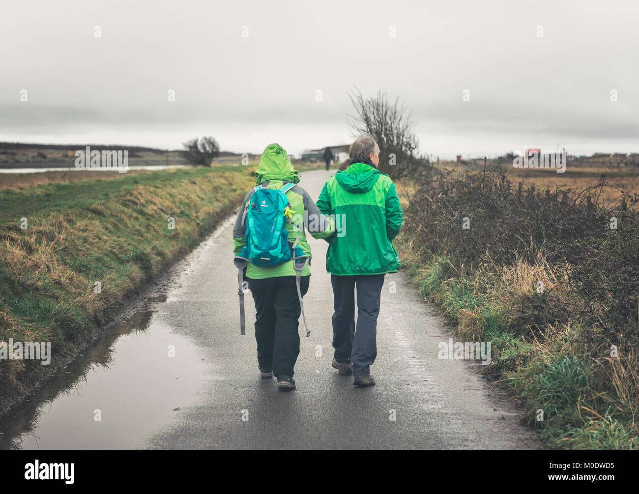 Out for a walk Stock Photo - Alamy