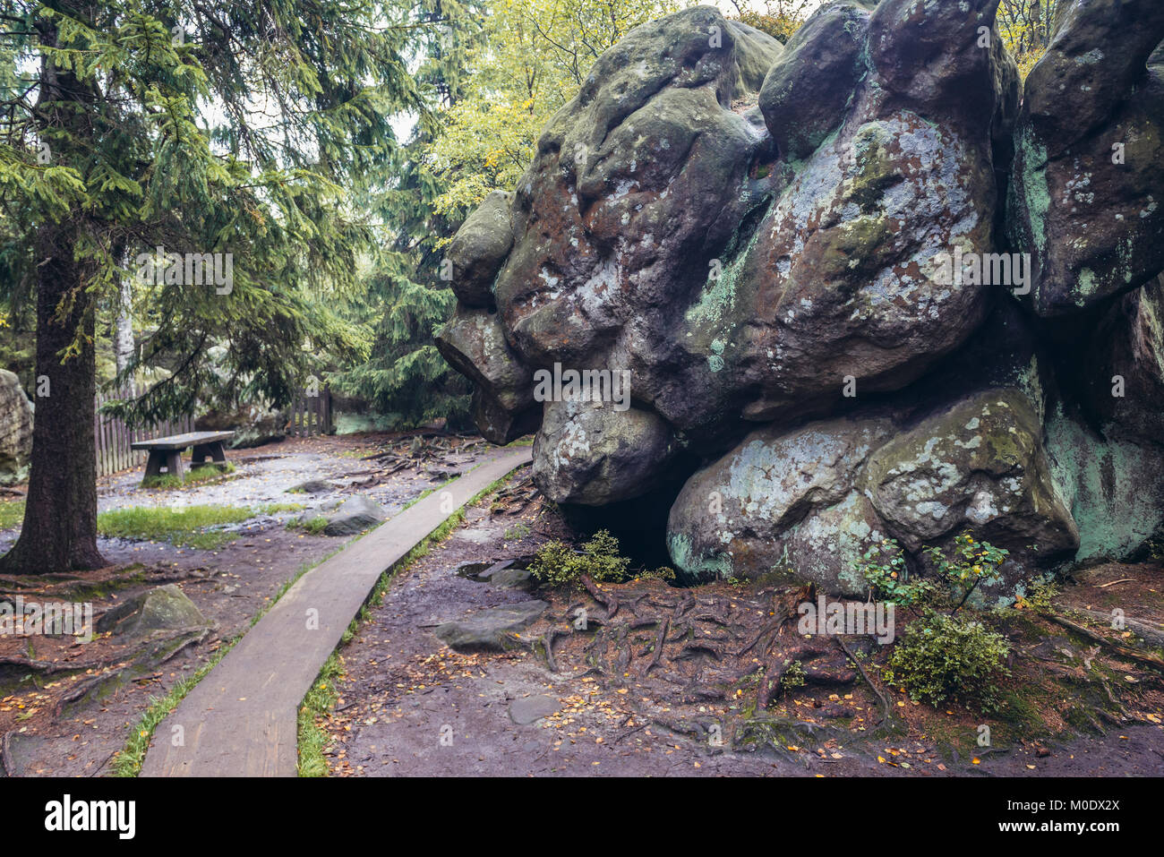 Walking path on Szczeliniec Wielki, the highest peak of Stolowe ...