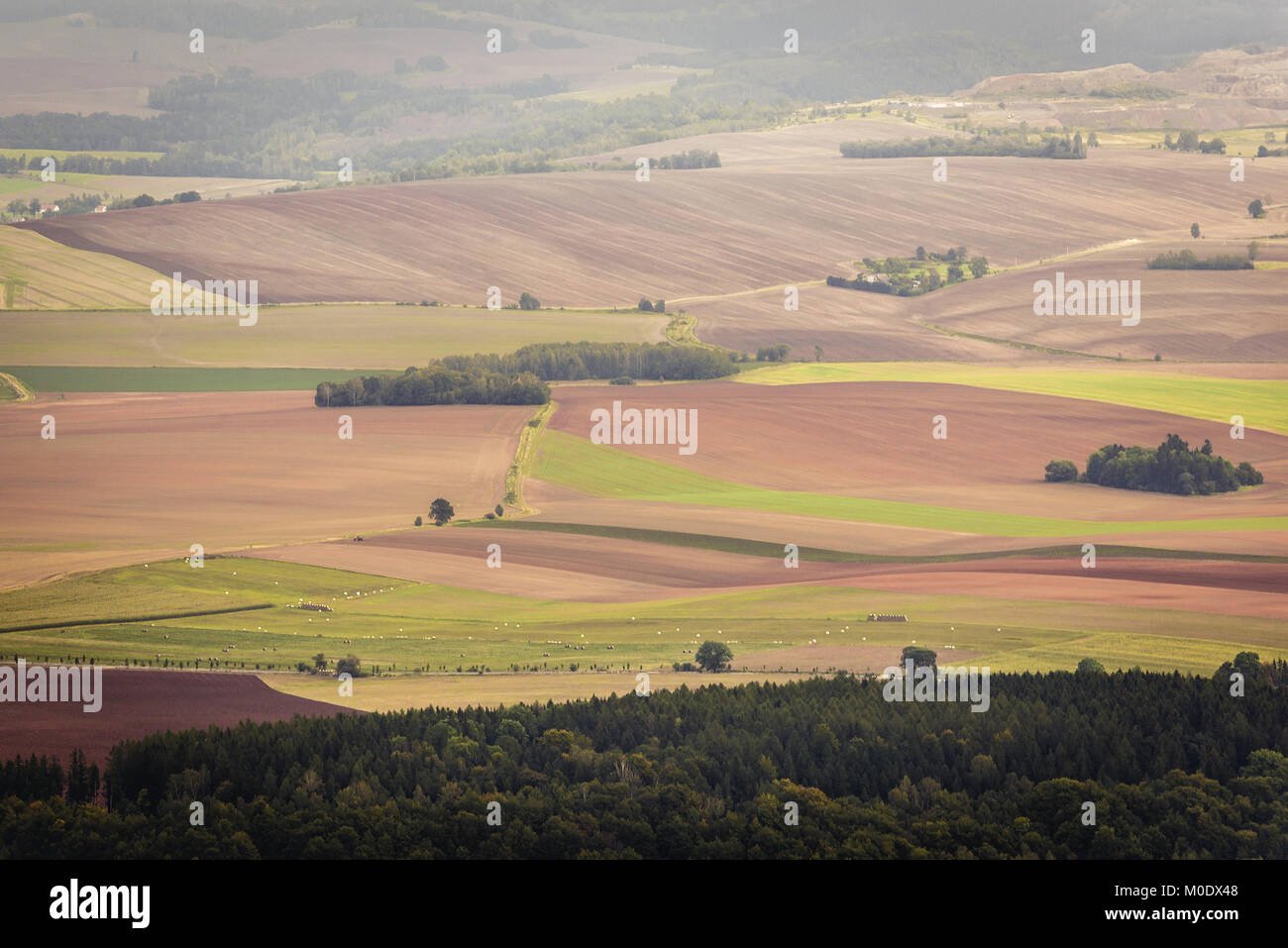 Landscape of Stolowe Mountains (Table Mountains) range, part of the ...