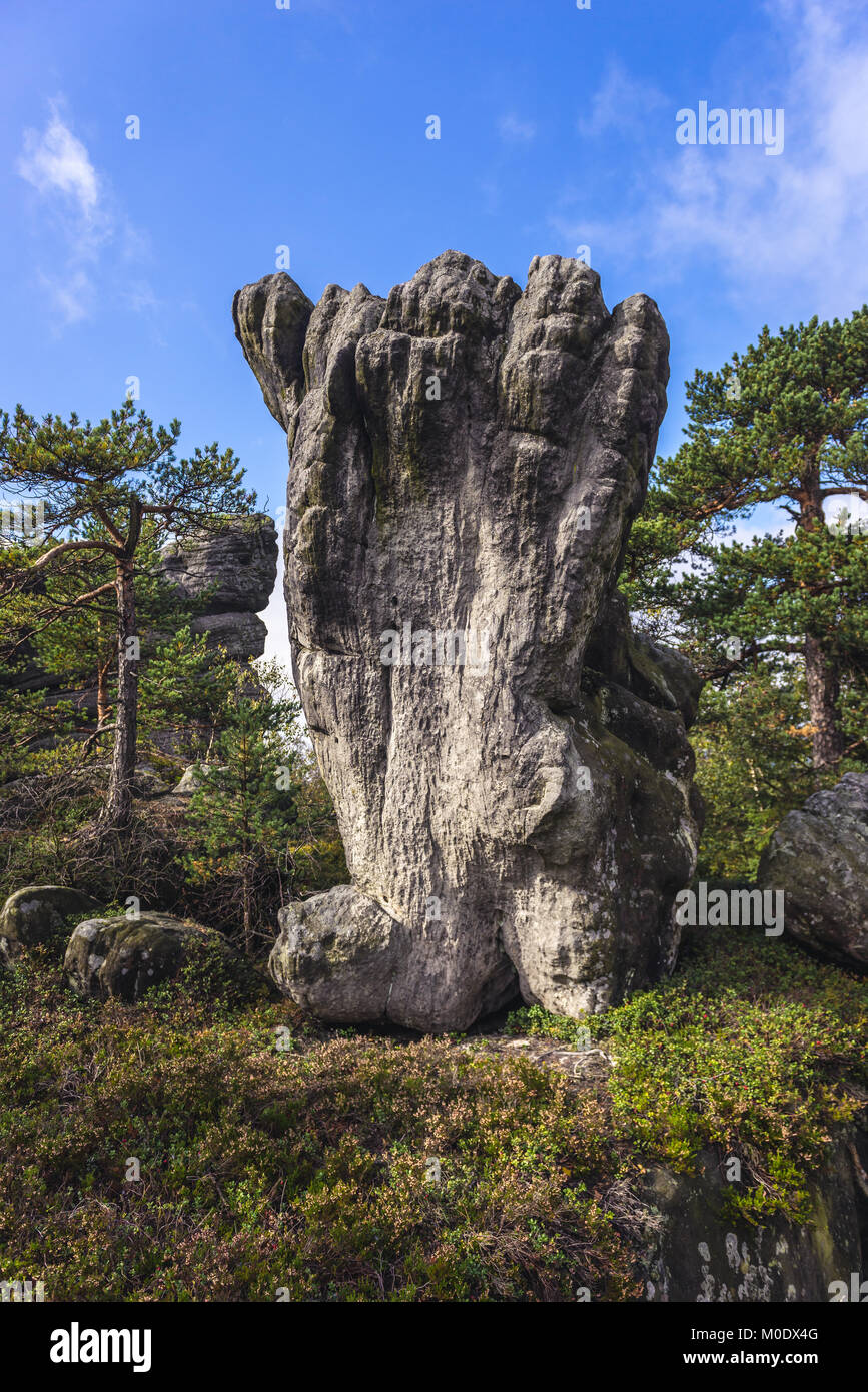 Giant foot hi-res stock photography and images - Alamy