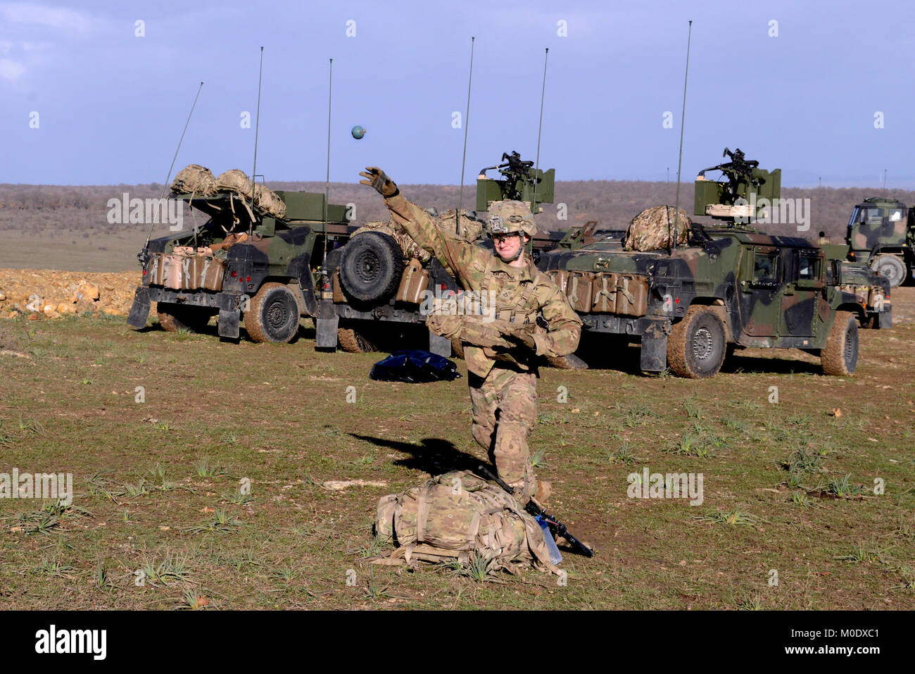 U.S. Army paratrooper assigned to the U.S. Army Dog Company, 1st ...
