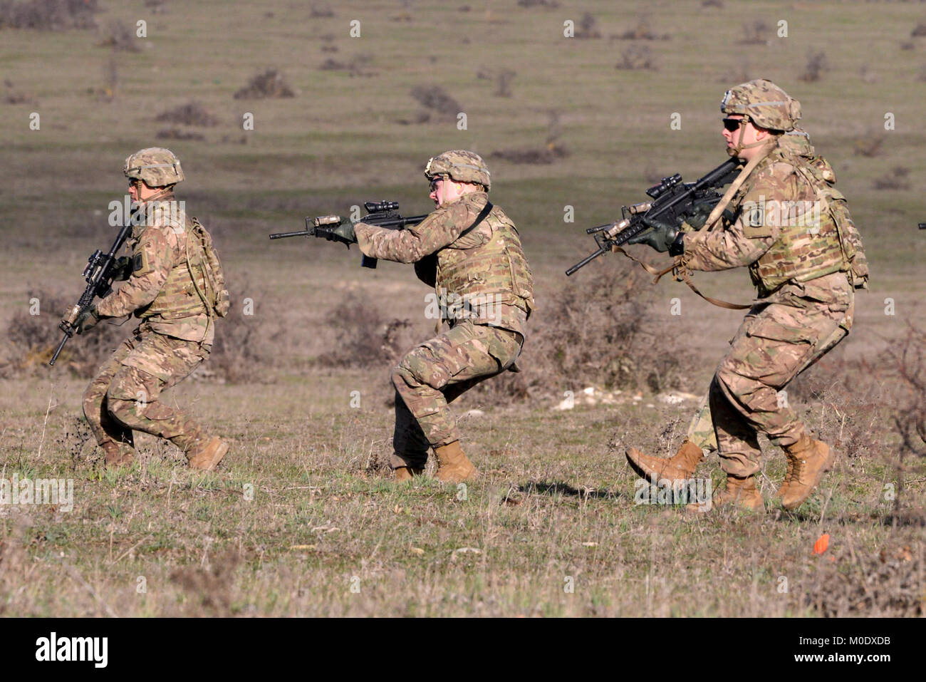 U.S. Army paratroopers assigned to the U.S. Army Dog Company, 1st ...
