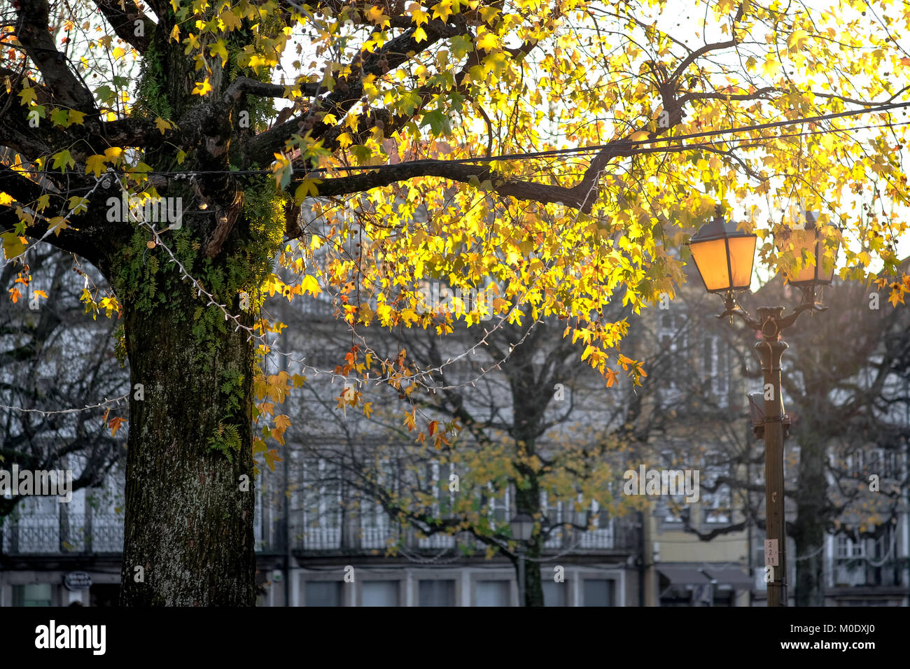 all about the fall, the autumn this precious season of the year that ...