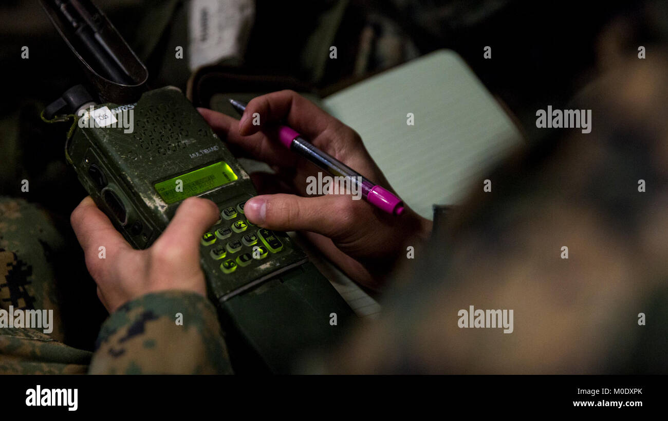 U.S. Marines with 2nd Low Altitude Air Defense (LAAD) Battalion, Alpha ...