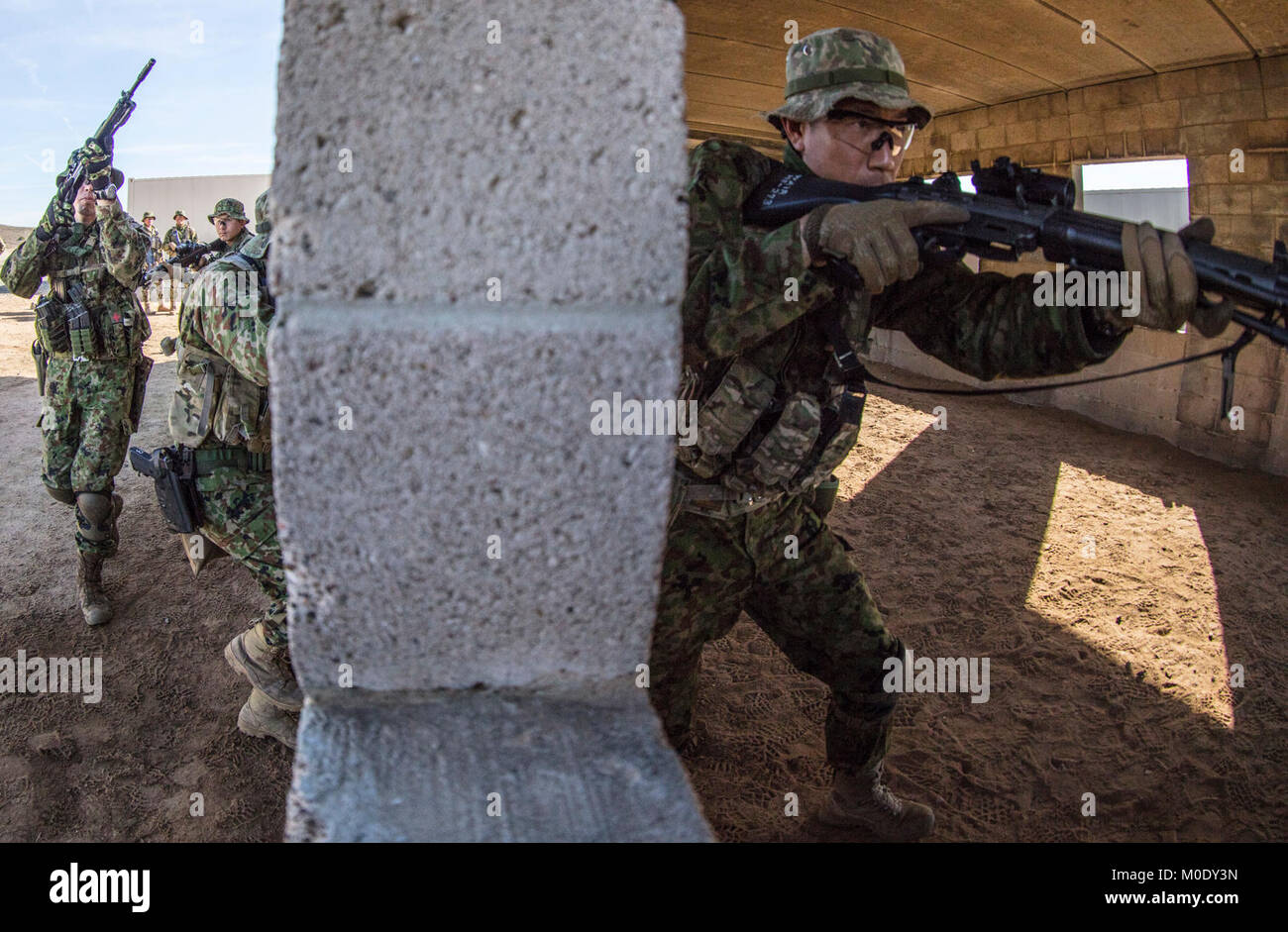 Soldiers with the Western Army Infantry Regiment, Japan Ground Self ...