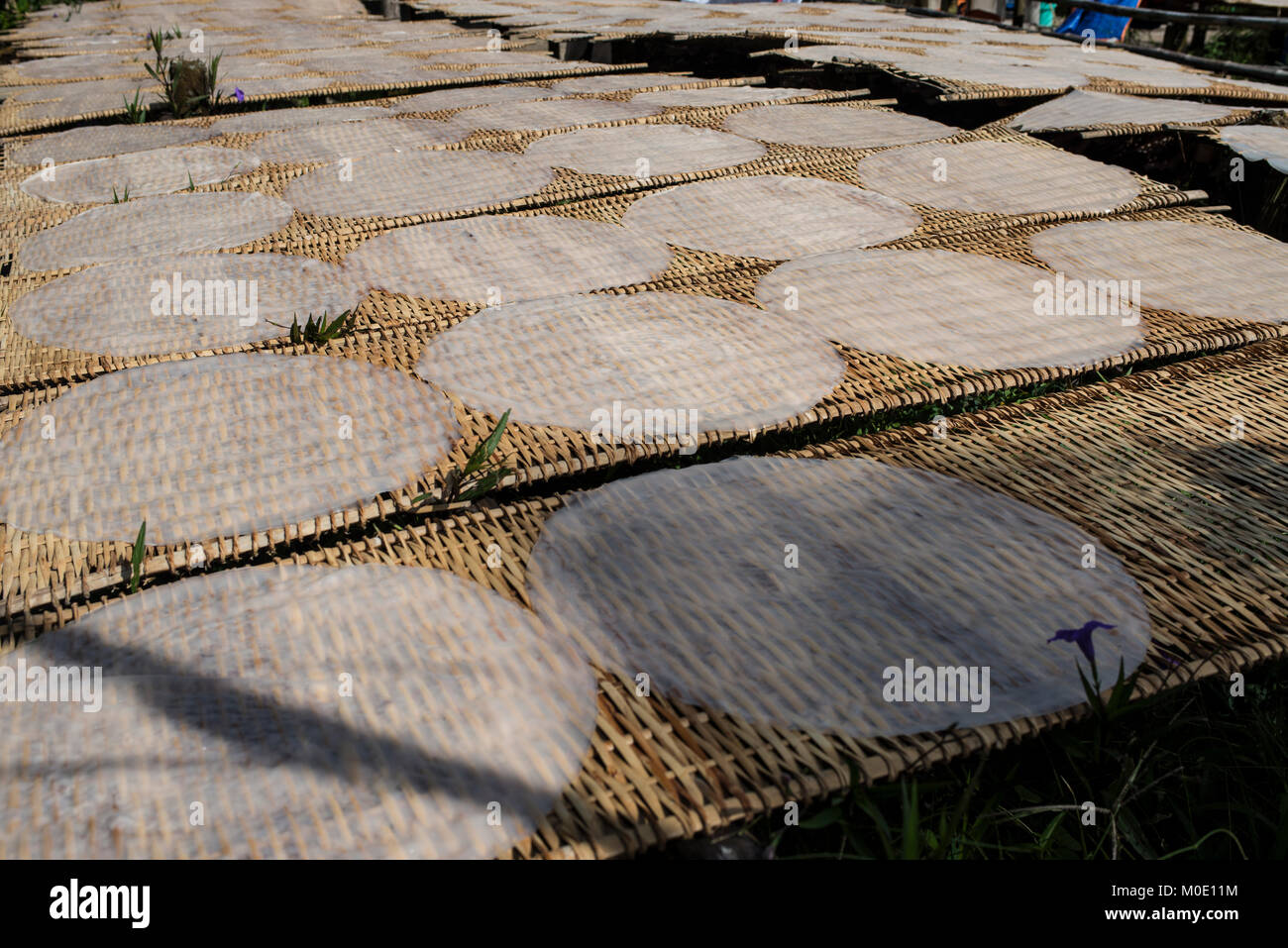 Rice paper drying in the sun, Mekong delta Stock Photo - Alamy
