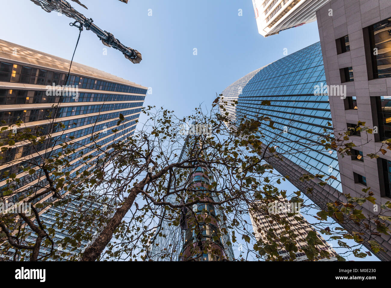 San Francisco highrises skyscrapers buildings photographed from a low ...