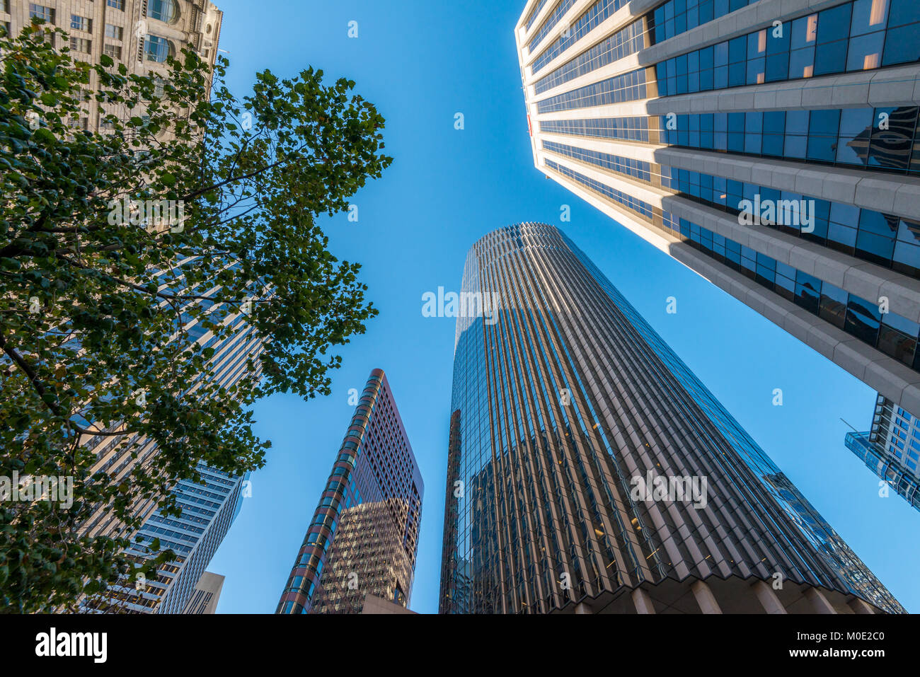 San Francisco highrises skyscrapers buildings photographed from a low ...