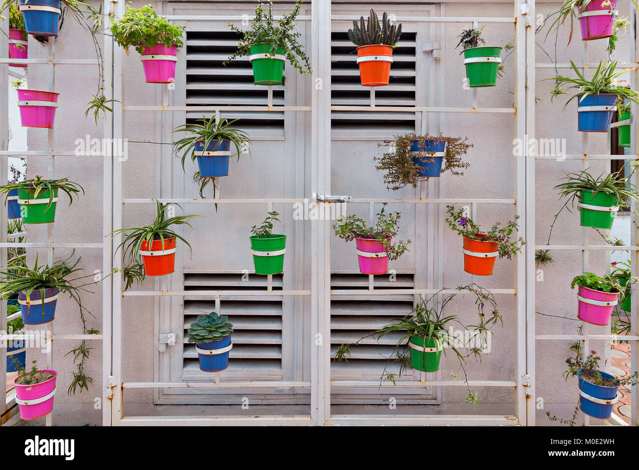 Colorful flower pots Stock Photo - Alamy