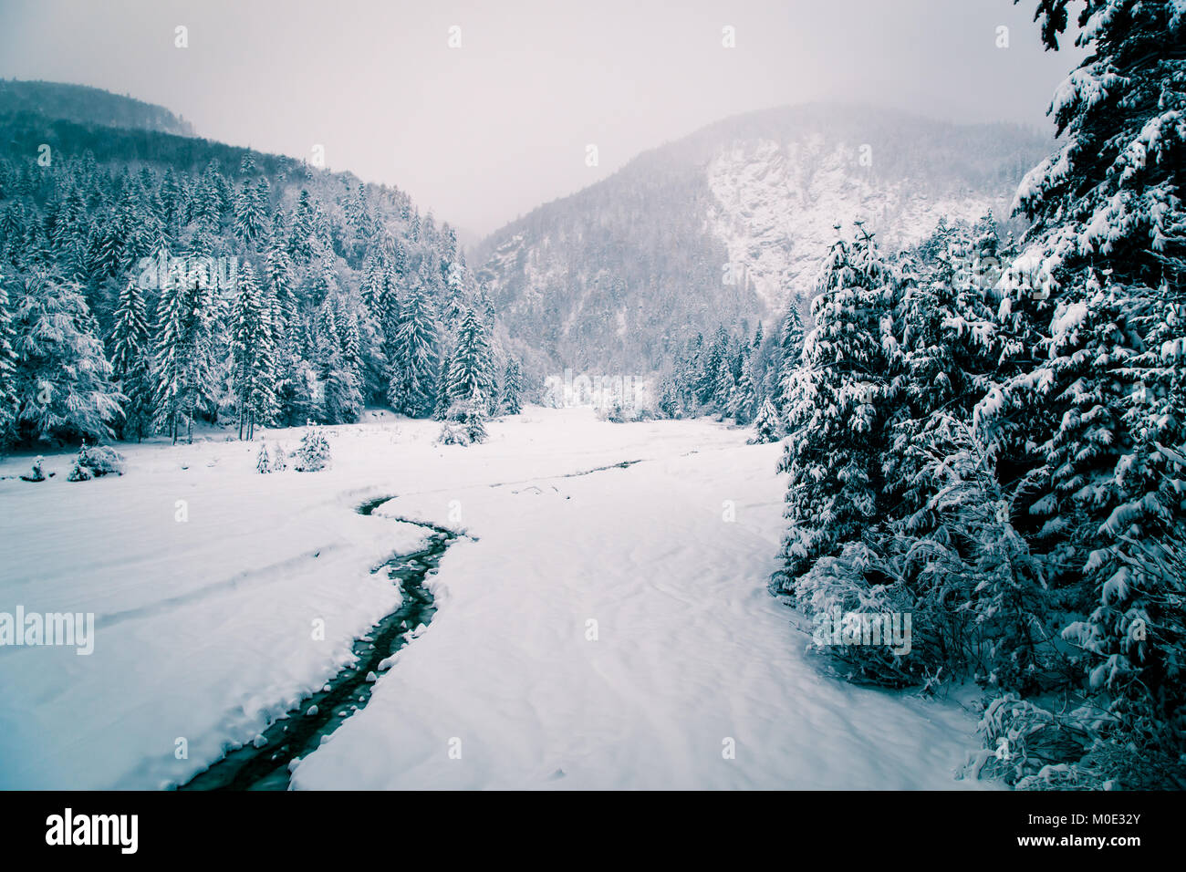The first snow of the year in the italian alps Stock Photo - Alamy