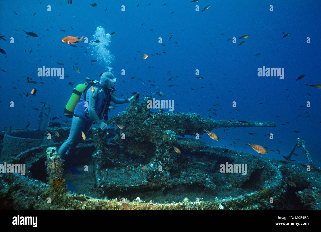 Diver at machine gun of shipwreck Liberty LST 349, a british landing ...