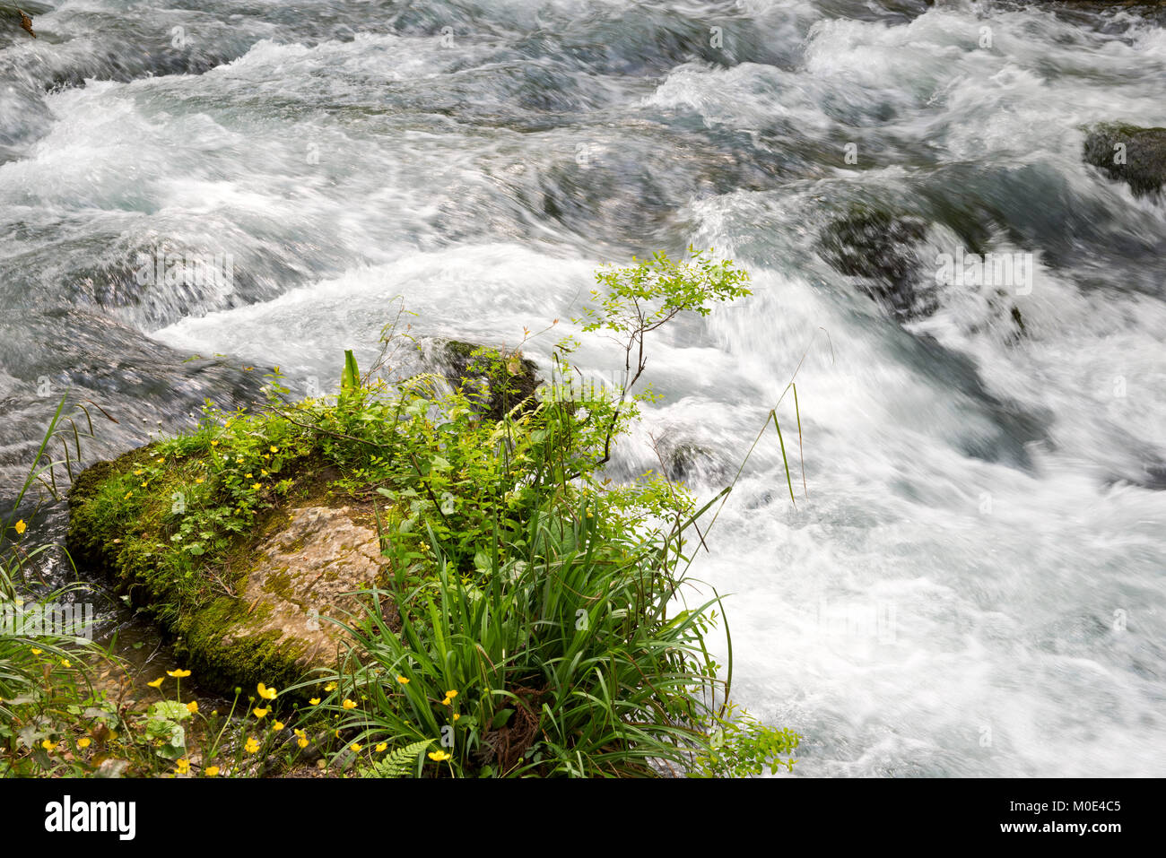 Running fast water in a mountain river Stock Photo - Alamy