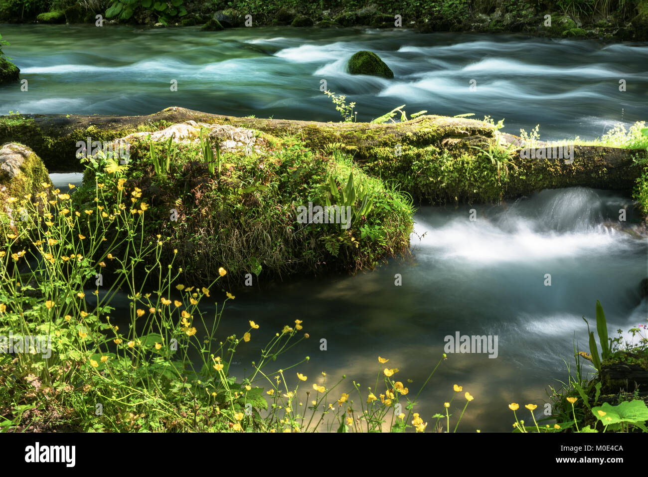 Running fast water in a mountain river Stock Photo - Alamy