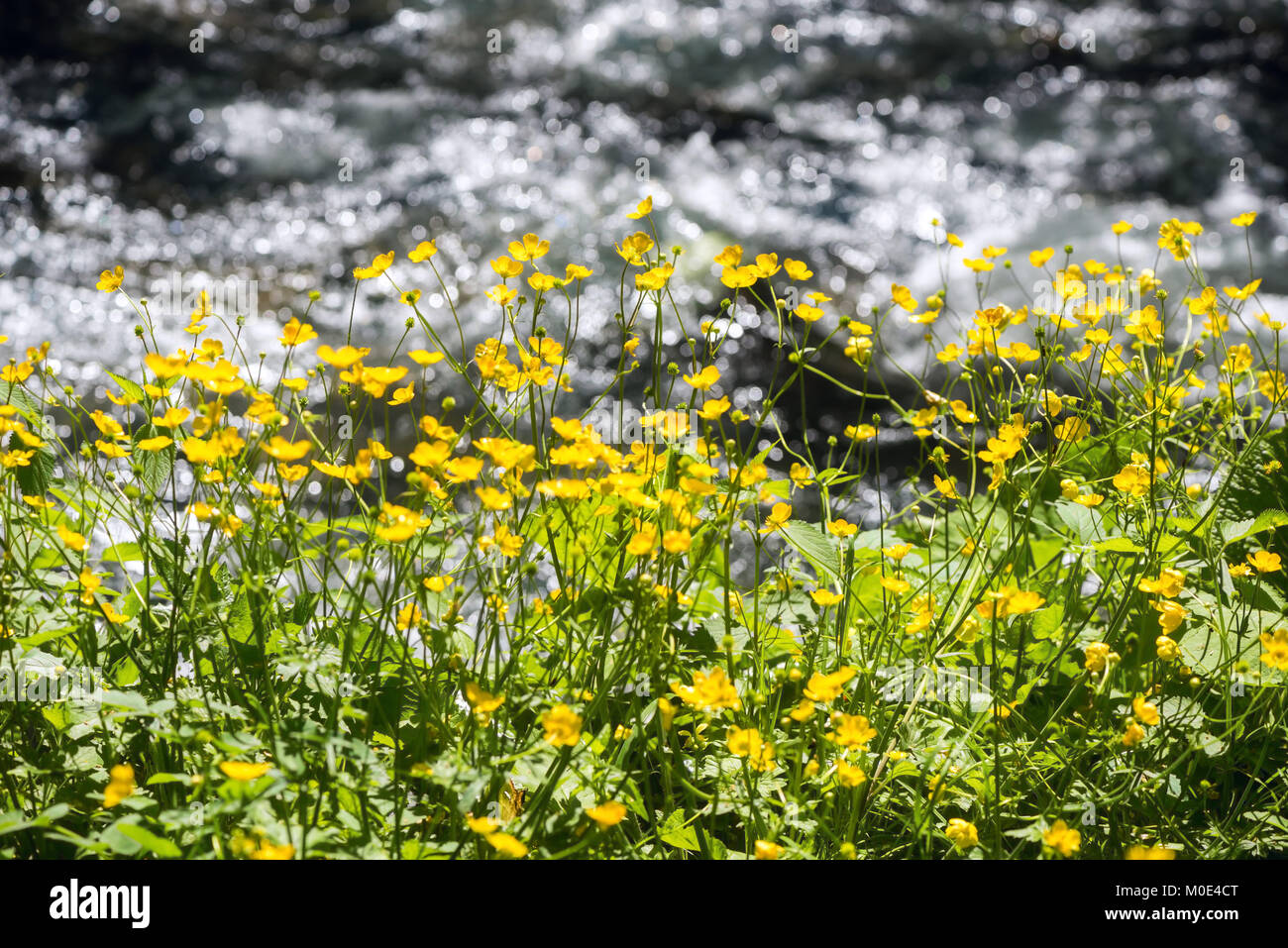 Movement water in mountain stream hi-res stock photography and images ...