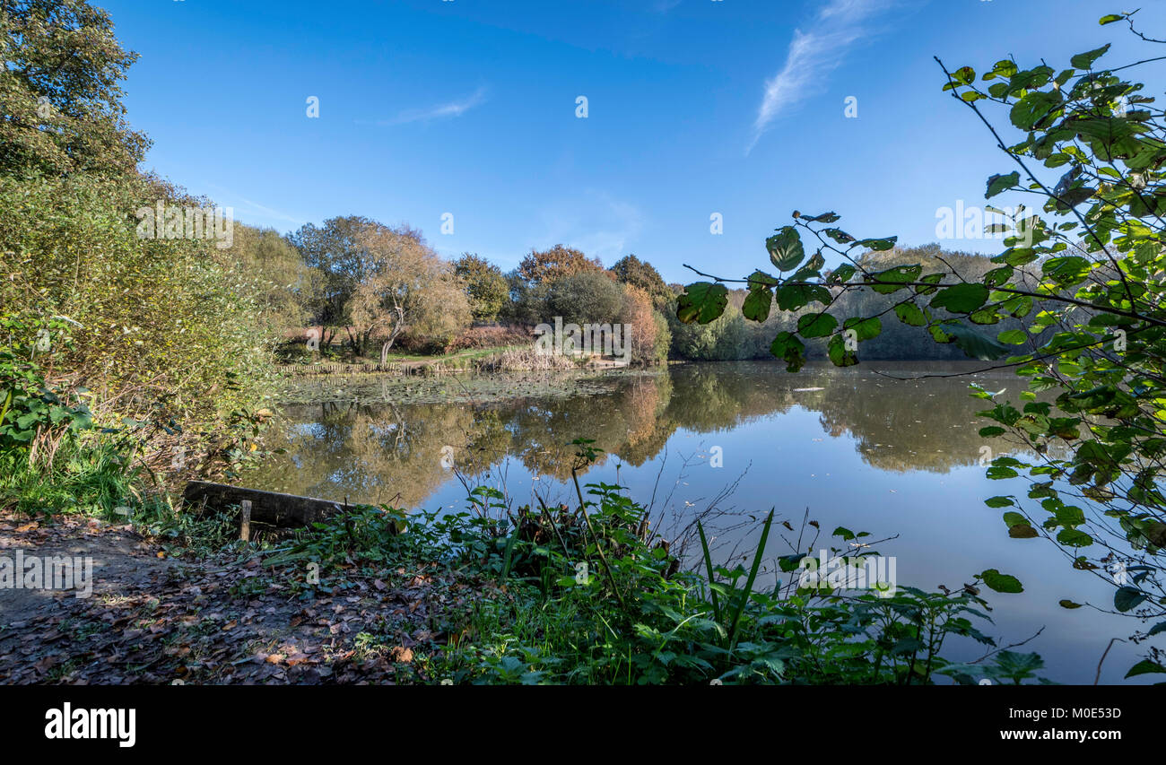 Ditchling Common in the autumn Stock Photo - Alamy