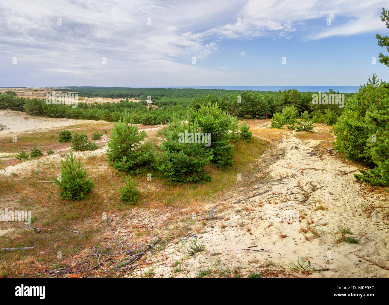 Curonian spit, russia sand dune hi-res stock photography and images - Alamy