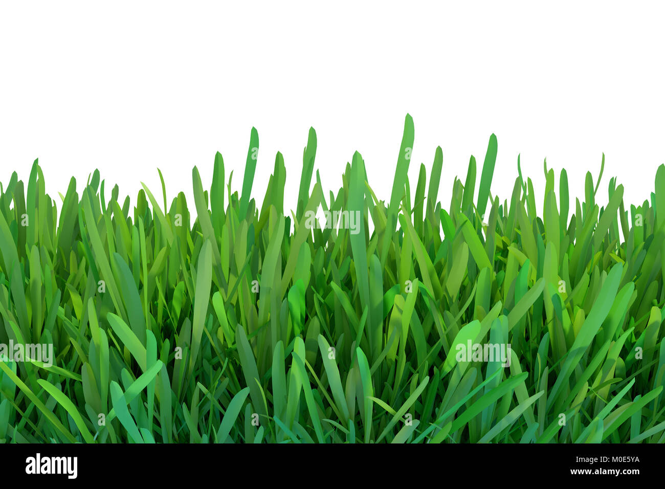 Green grass. Natural grass texture background. Meadow. Spring, summer ...