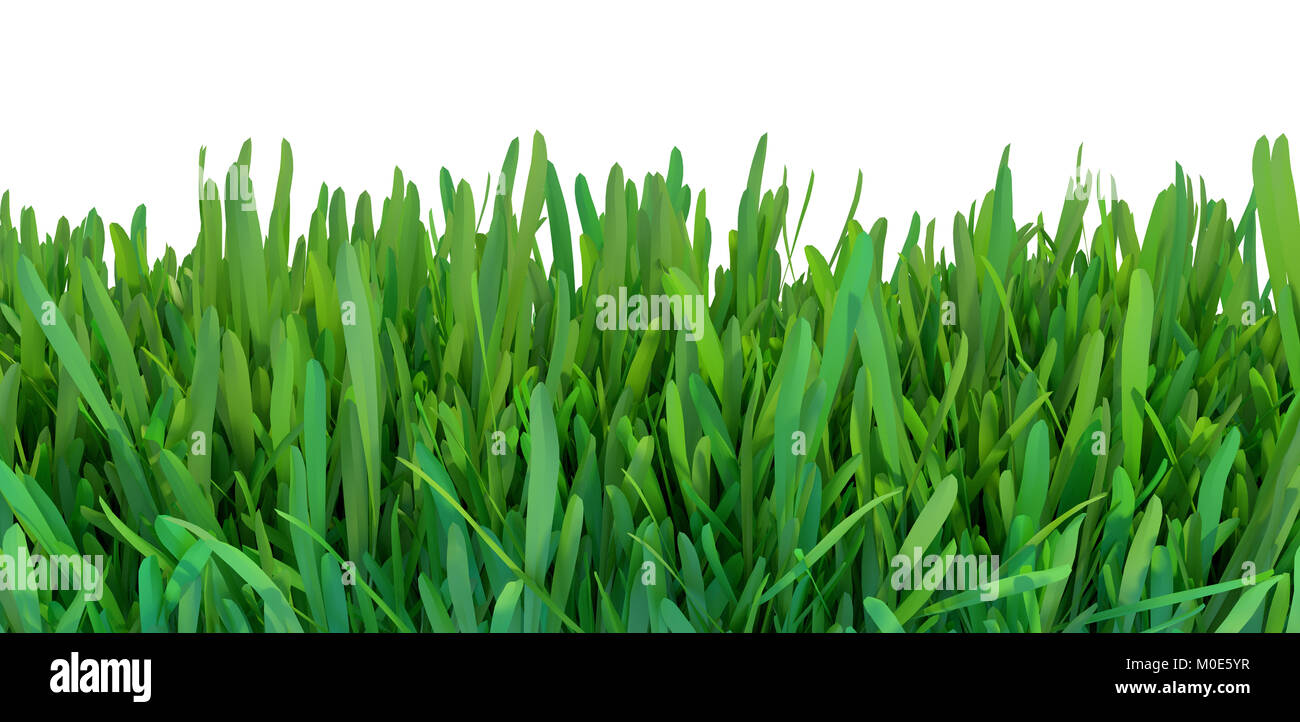 Green grass. Natural grass texture pattern background. Meadow. Spring ...