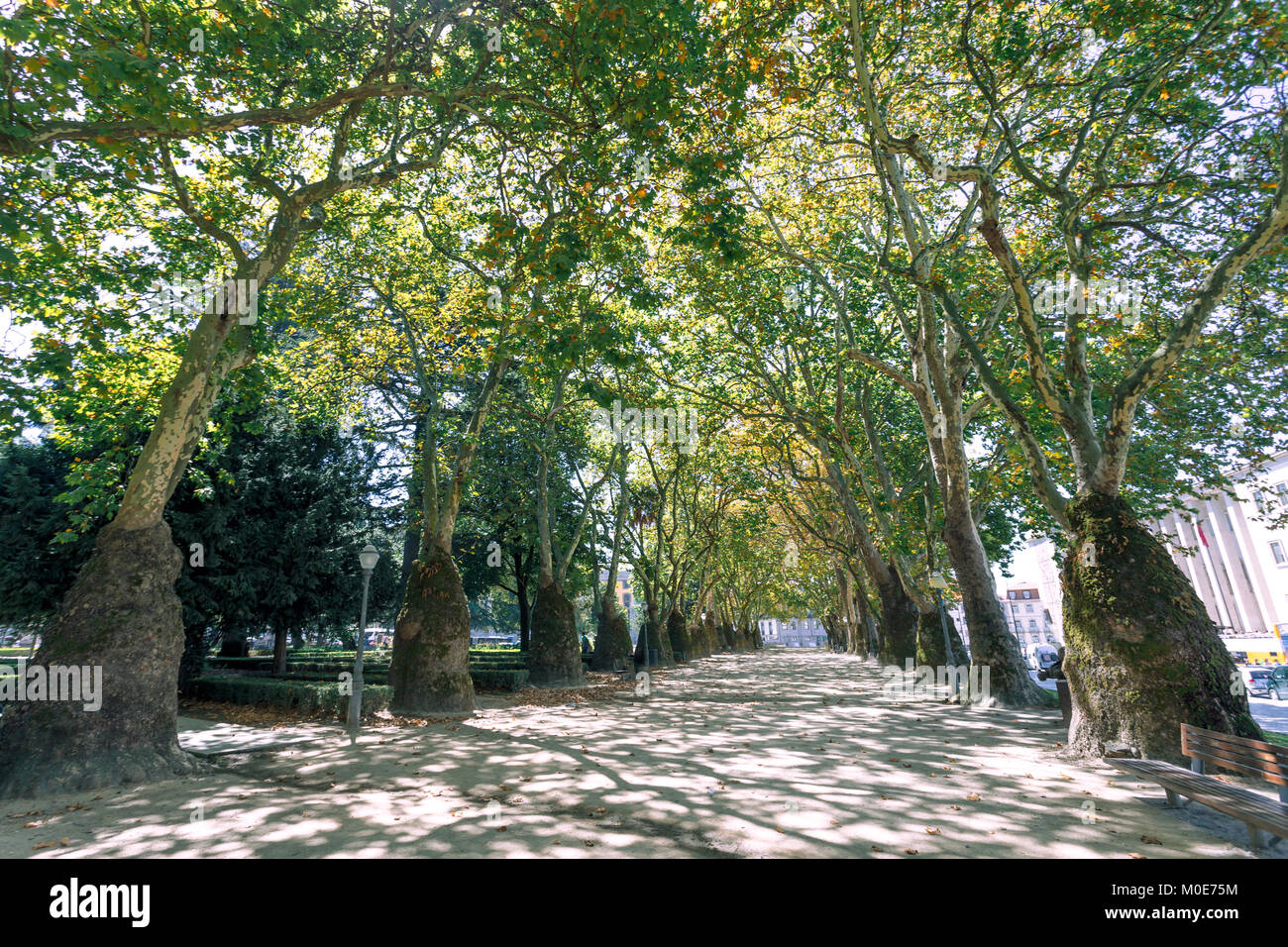 Beautiful Park with trees in Porto Stock Photo - Alamy