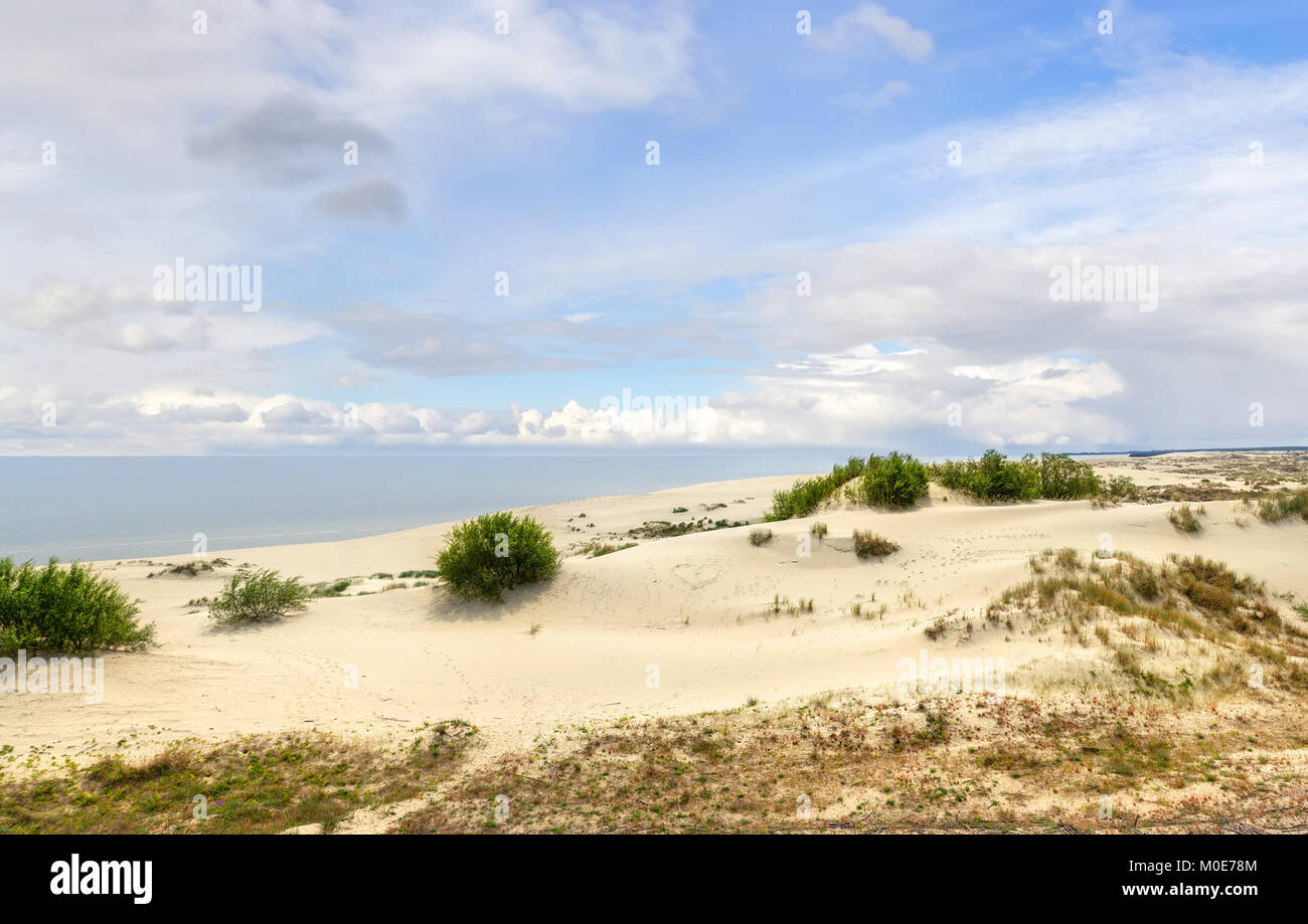 Dunes of the Curonian Spit. Kaliningrad. Russia Stock Photo - Alamy