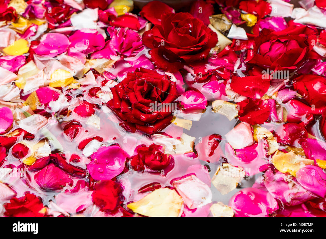 Floral decoration with red and pink roses floating in a fountain Stock ...
