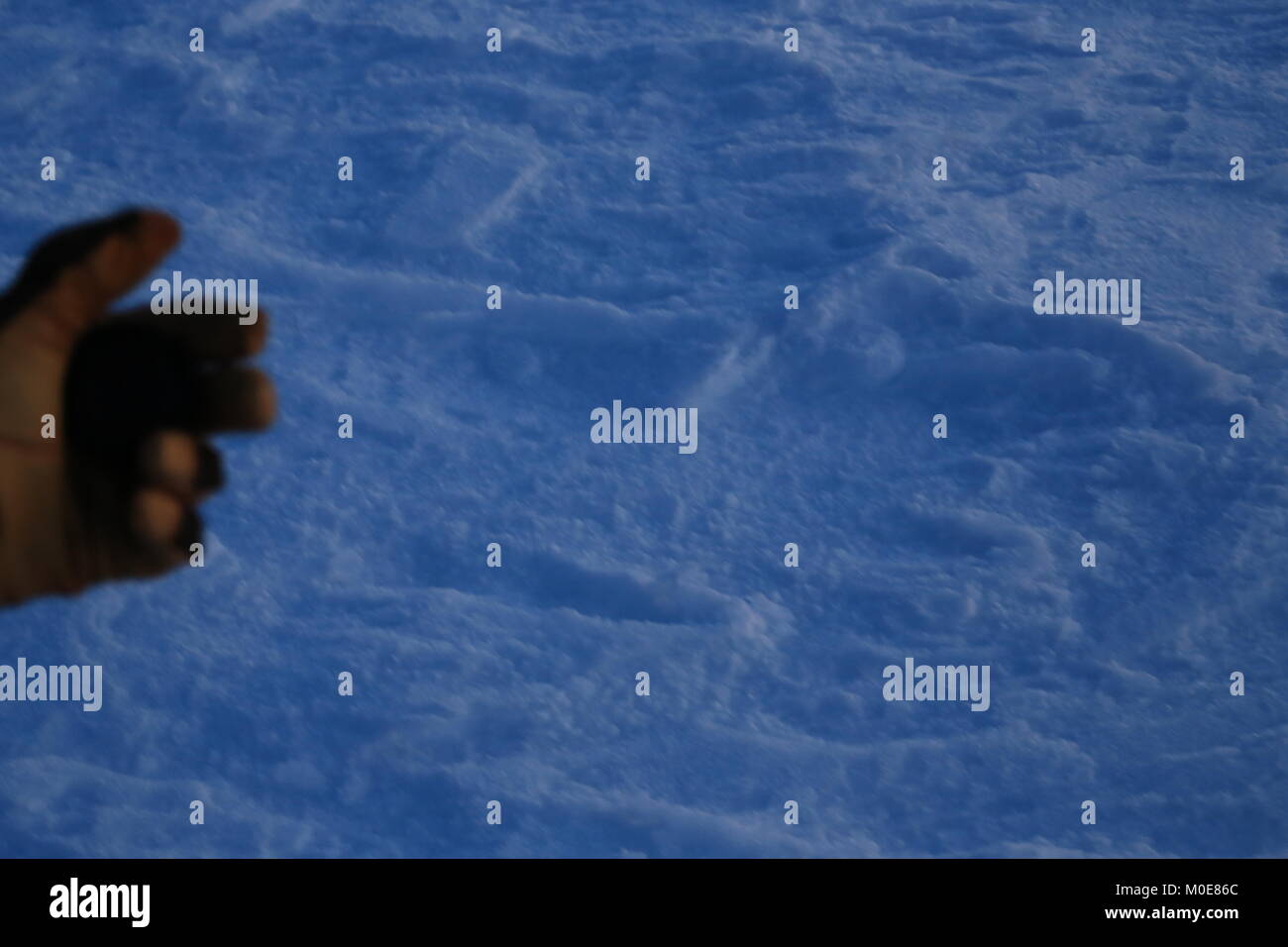 Skiers hand hi-res stock photography and images - Alamy