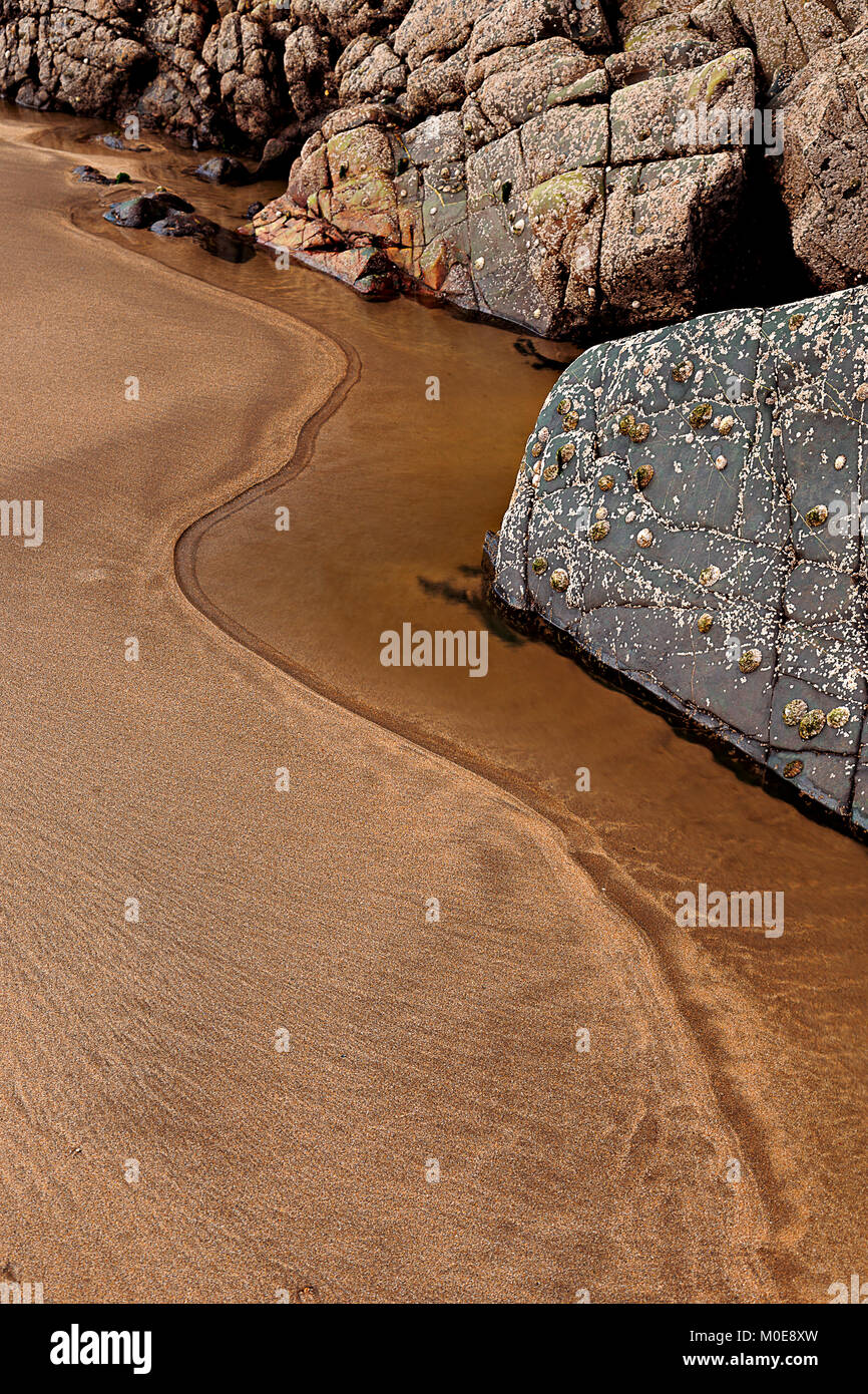 Rocks and shells hi-res stock photography and images - Alamy