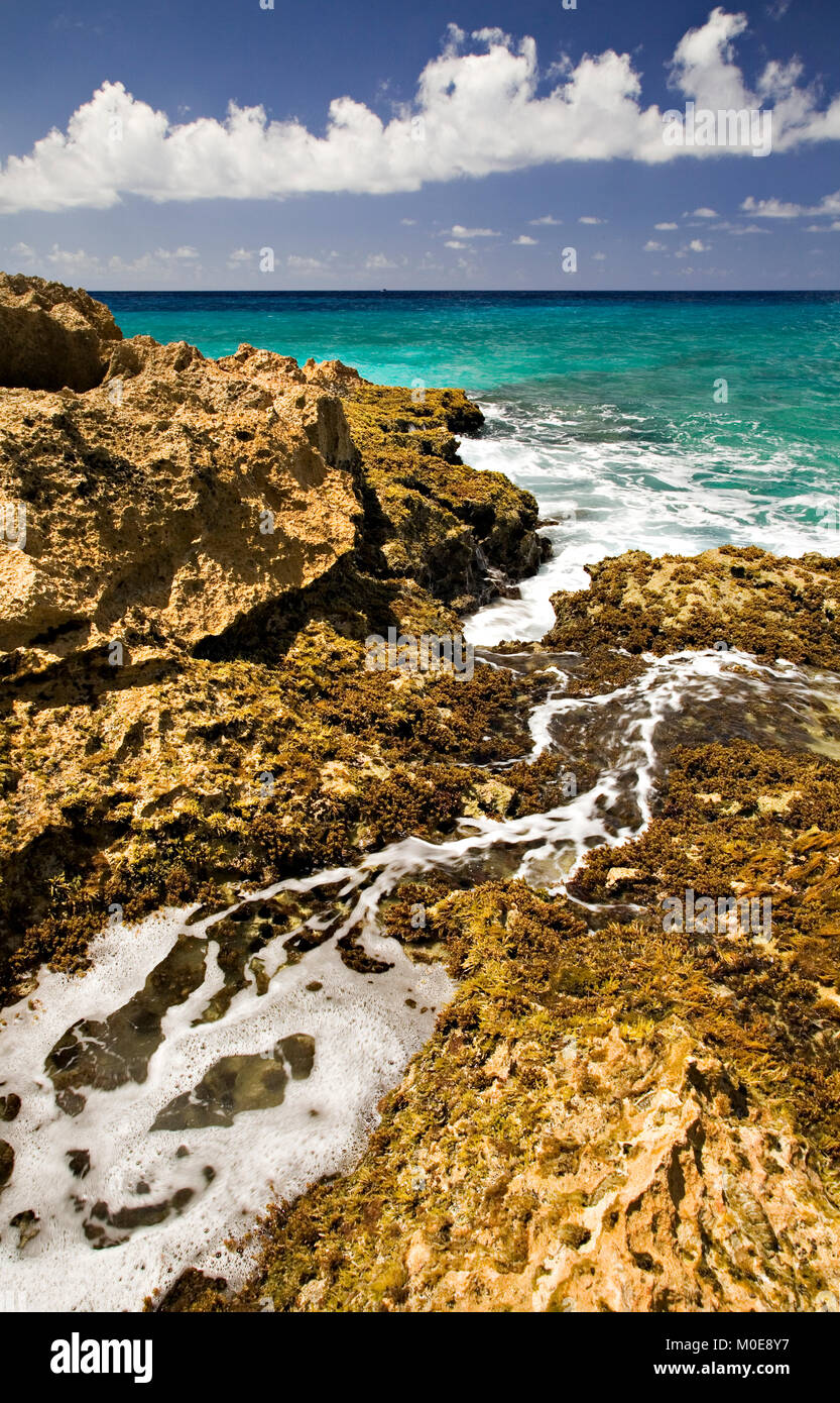 Rocky shoreline in the Caribbean Stock Photo - Alamy