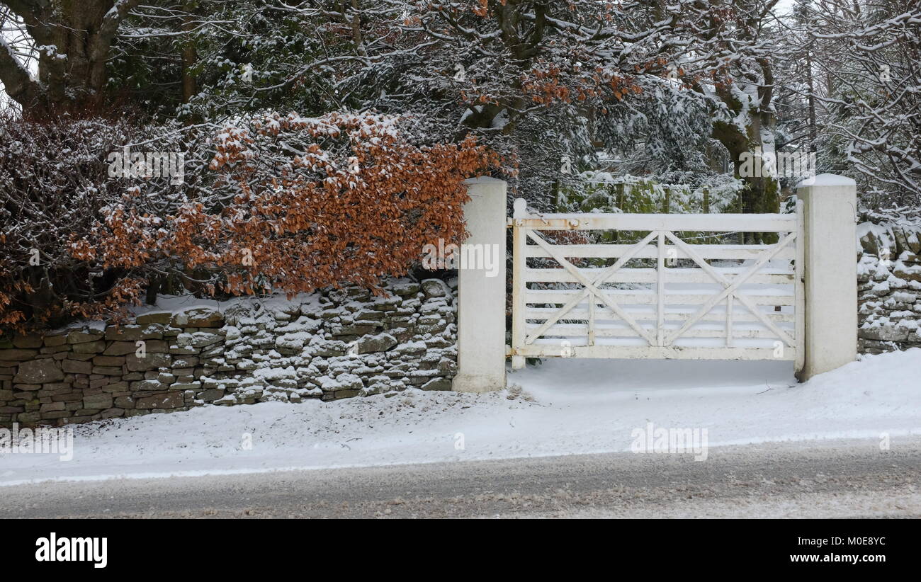 Gate in hedge snow hi-res stock photography and images - Alamy