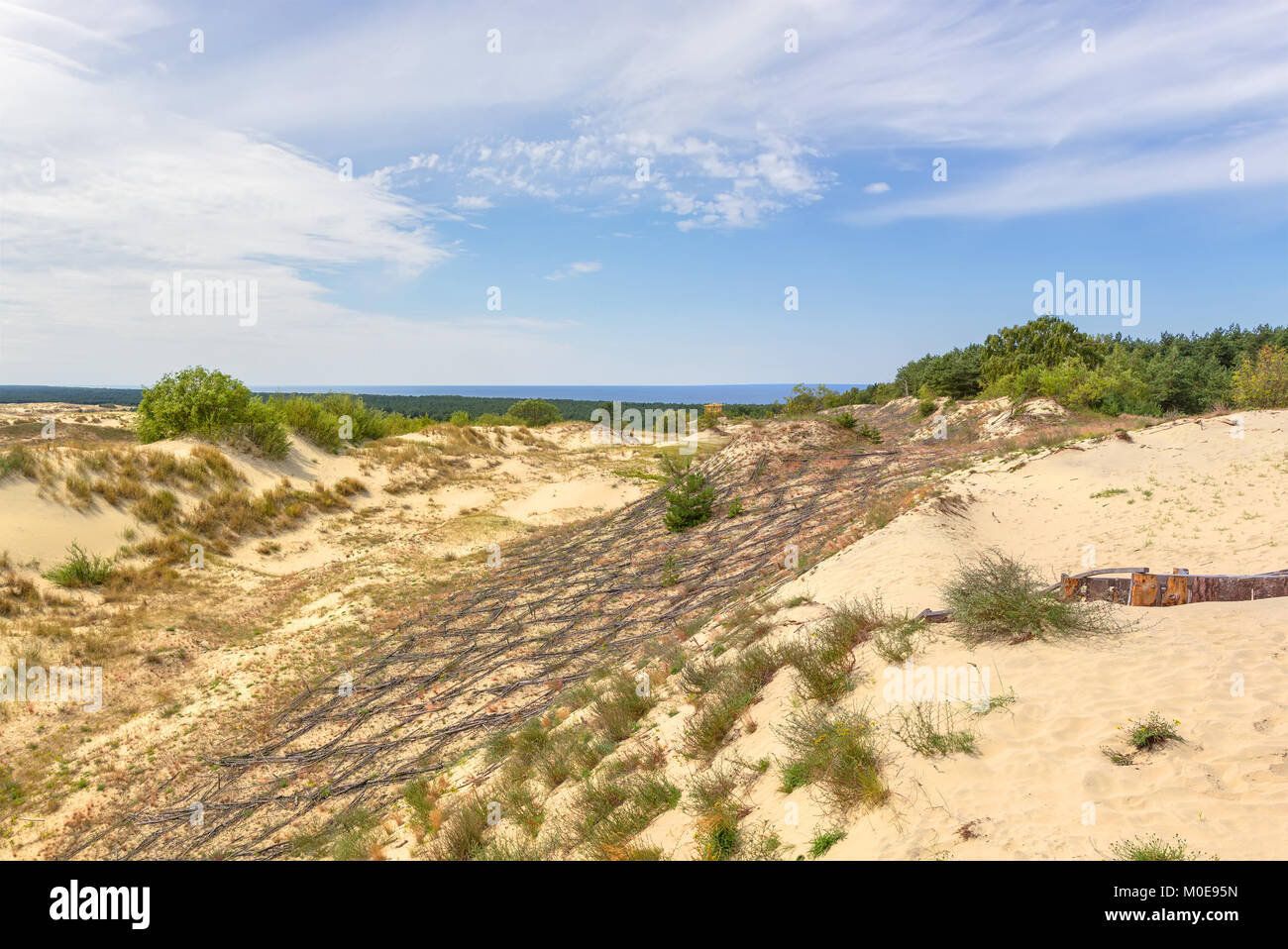Dunes of the Curonian Spit. Kaliningrad. Russia Stock Photo - Alamy