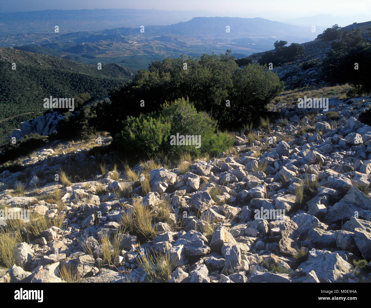 Sierra espuña spain hi-res stock photography and images - Alamy