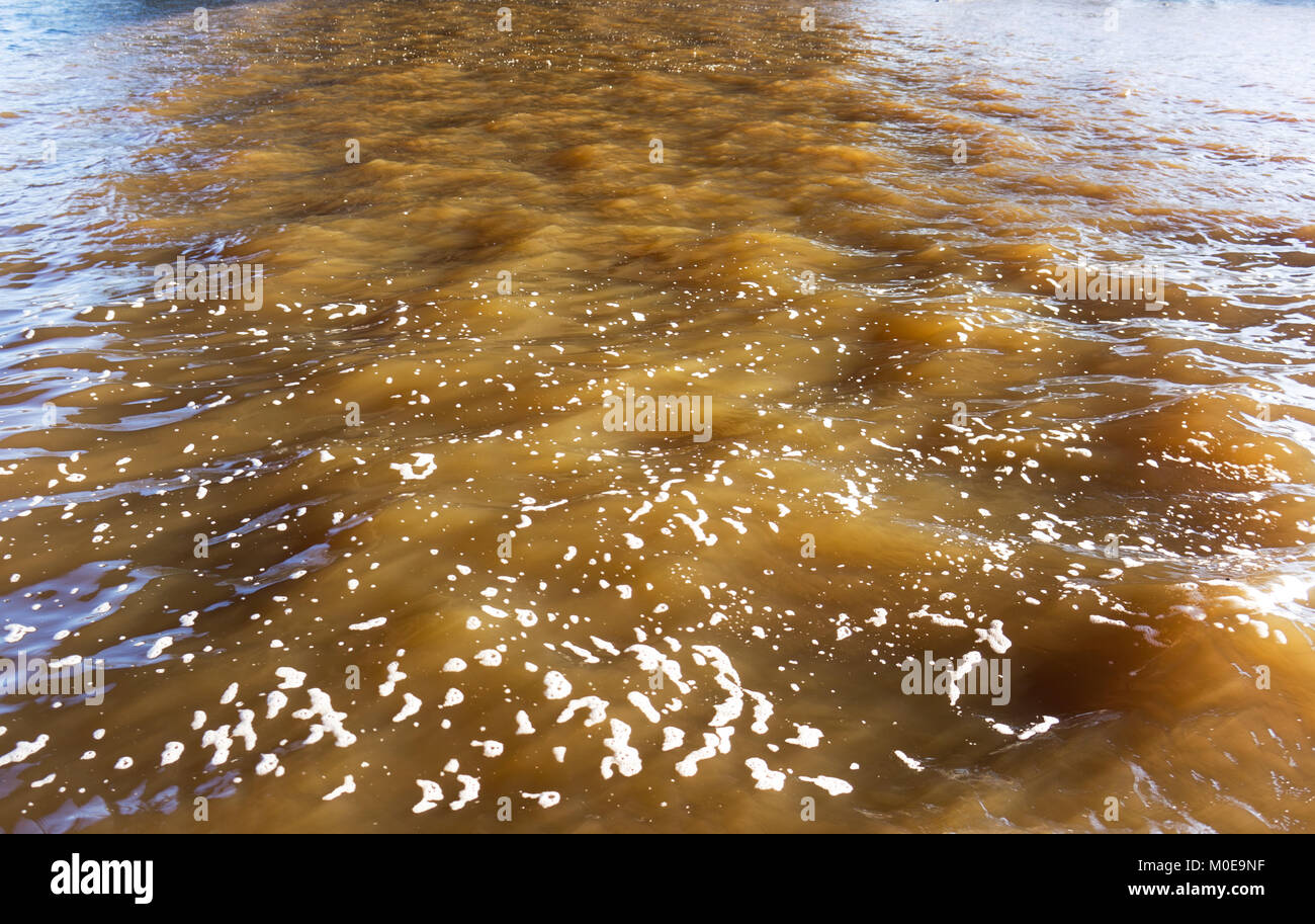 Dirty River Water