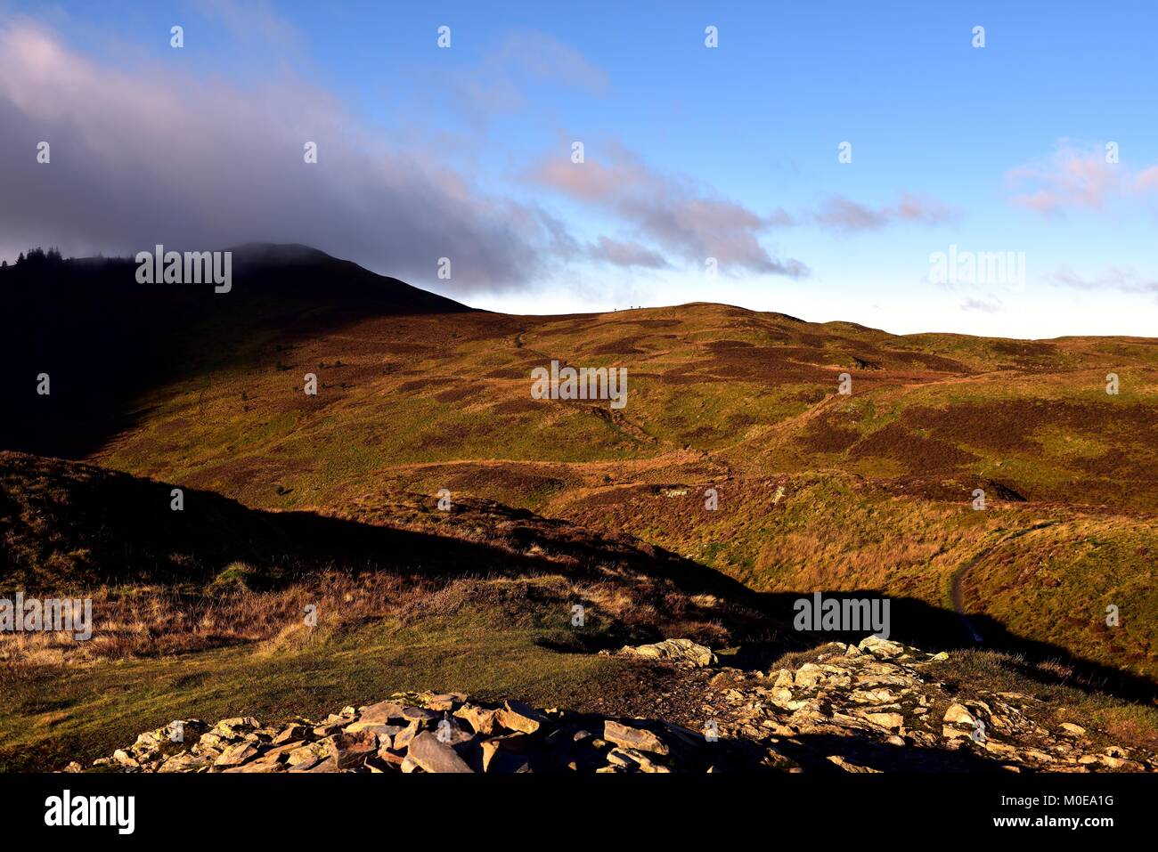 Lords seat hi-res stock photography and images - Alamy