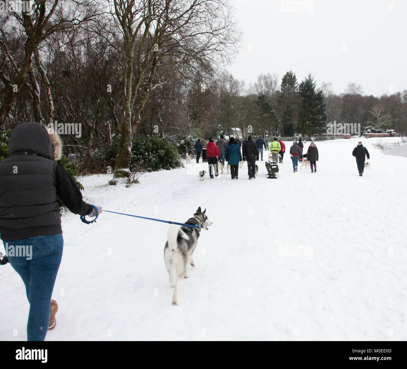 Drumpellier country park hi-res stock photography and images - Alamy