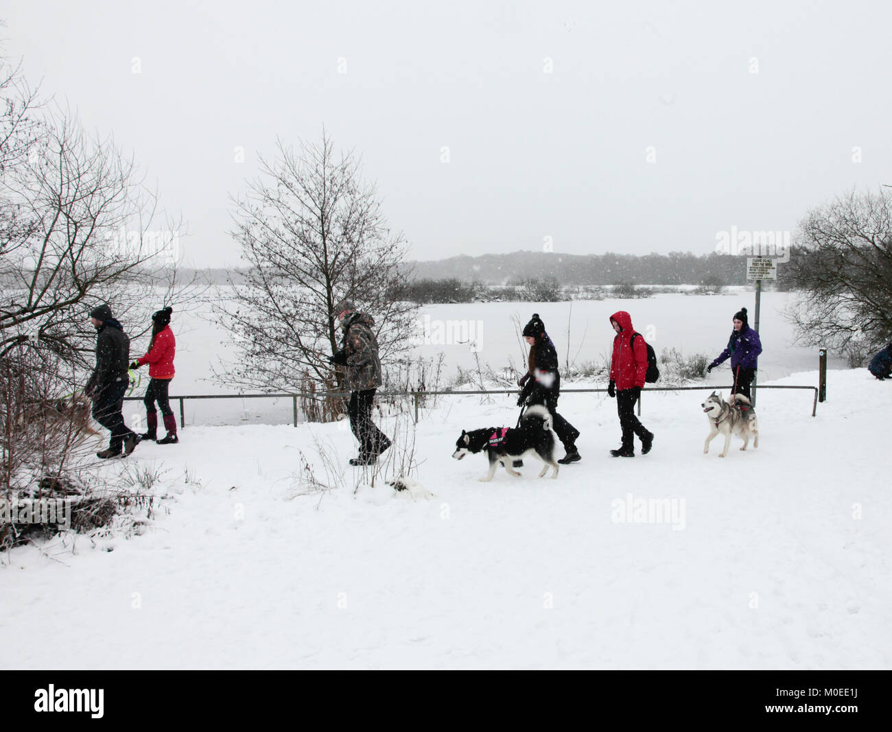 Drumpellier country park hi-res stock photography and images - Alamy