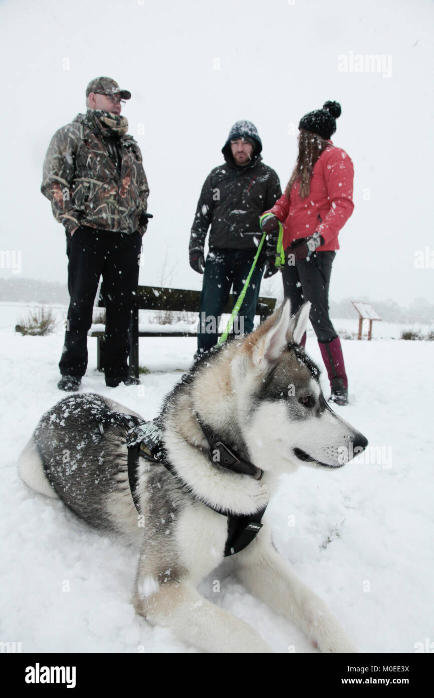 Drumpellier country park hi-res stock photography and images - Alamy
